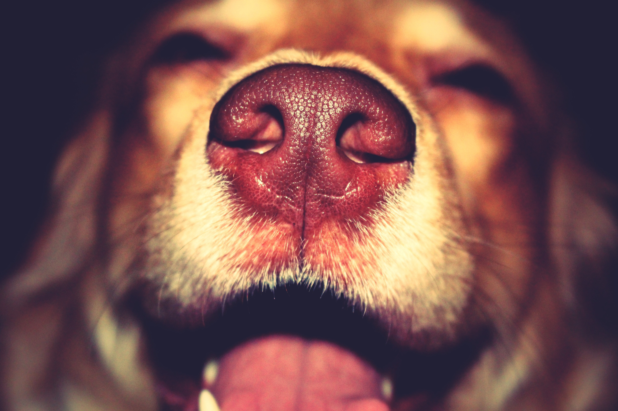 Analyze Your Code With Phpcodesniffer Wp Punk